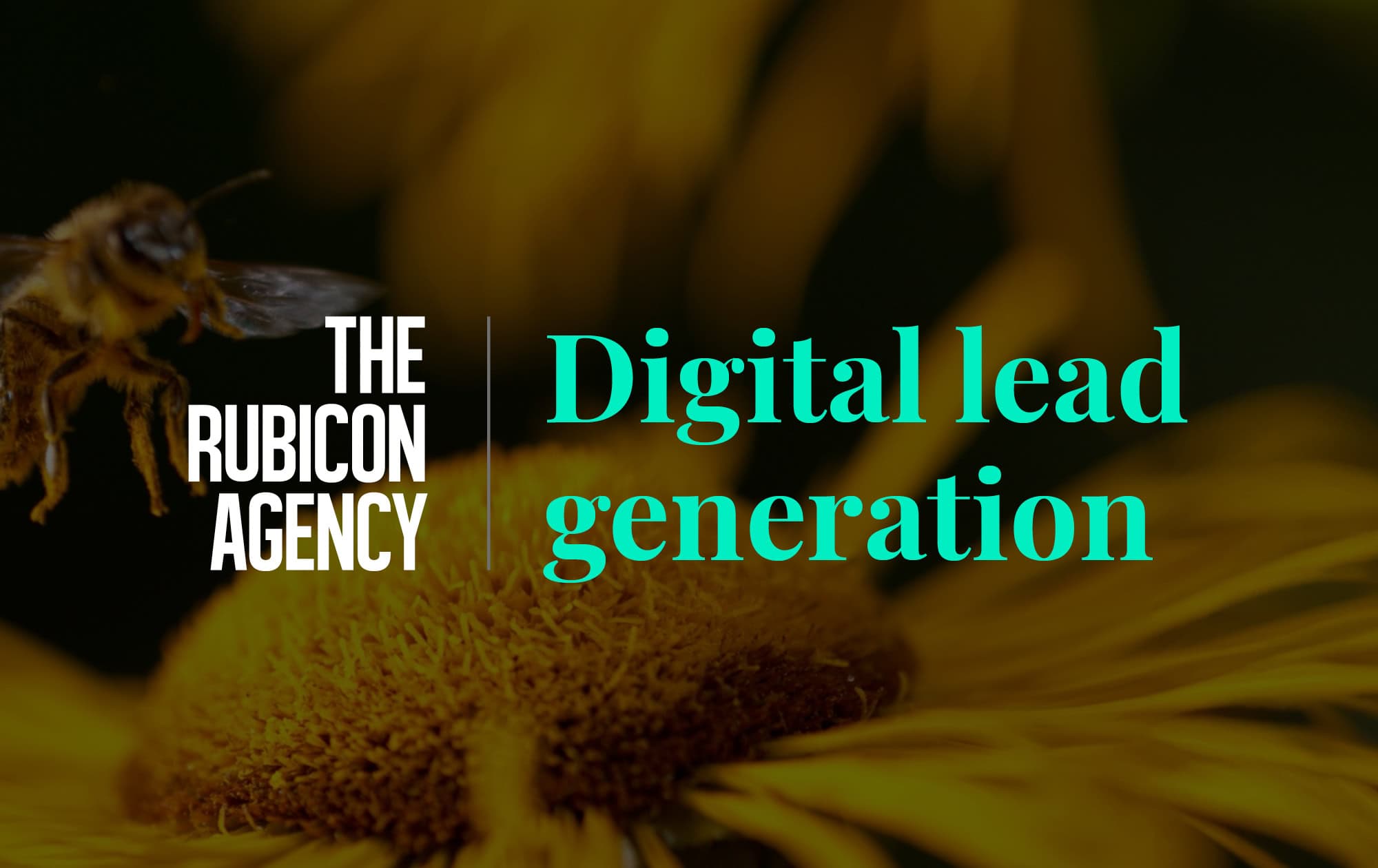 The Rubicon Agency – Digital Lead Generation